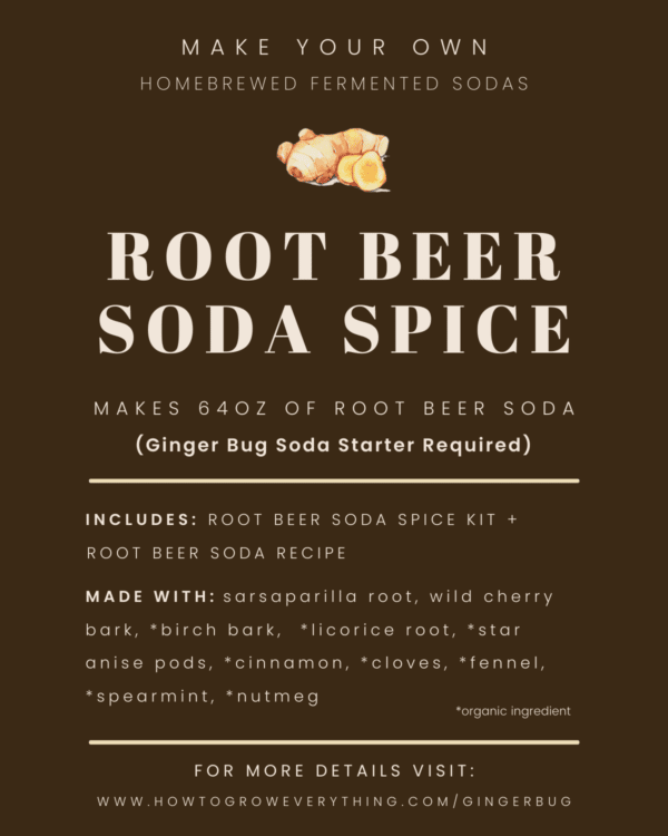 Soda Spice - Classic American Root Beer - Sandpoint Soda Company