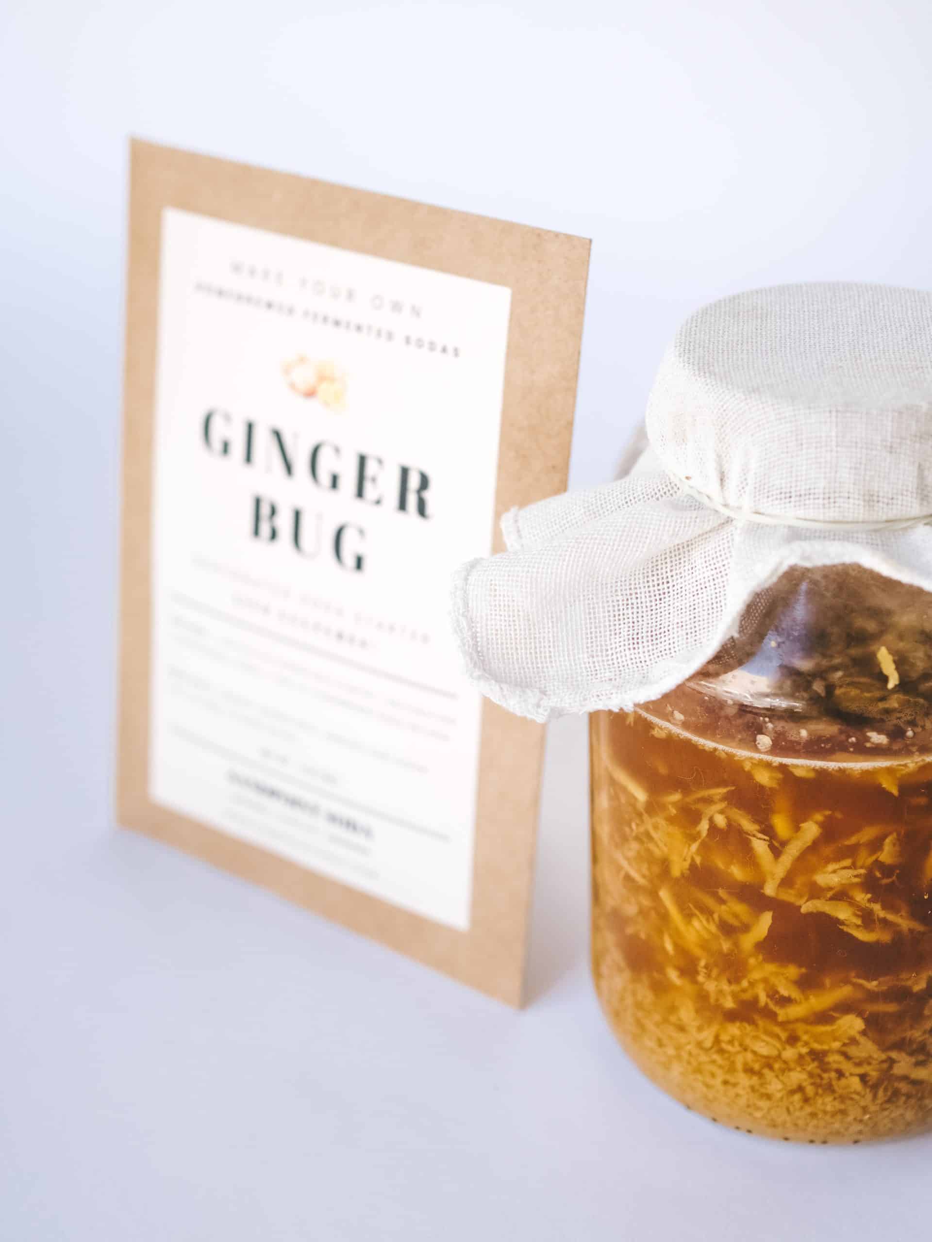 How to Make Soda - Sandpoint Soda Company