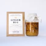 What's Wrong with my Ginger Bug? - Sandpoint Soda Company