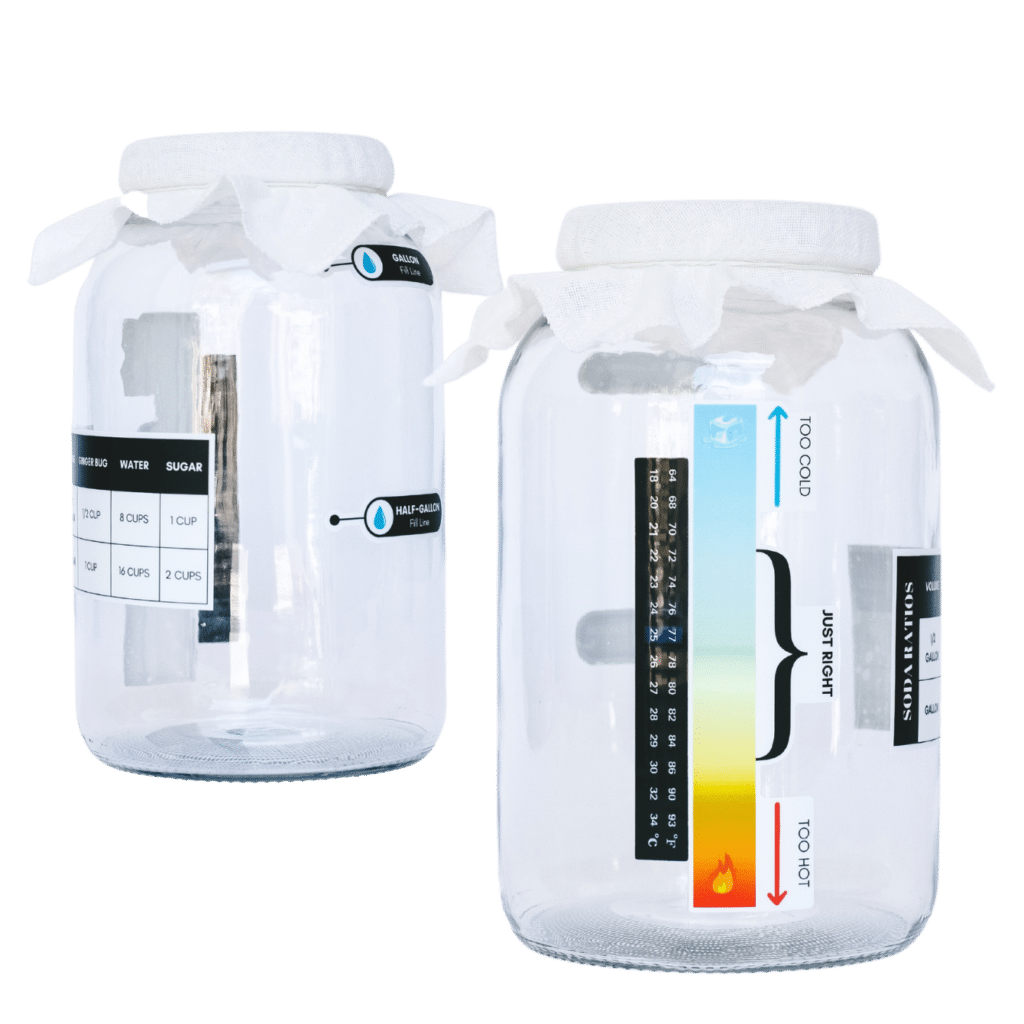 Deluxe Ginger Bug Soda Making Kit - Sandpoint Soda Company